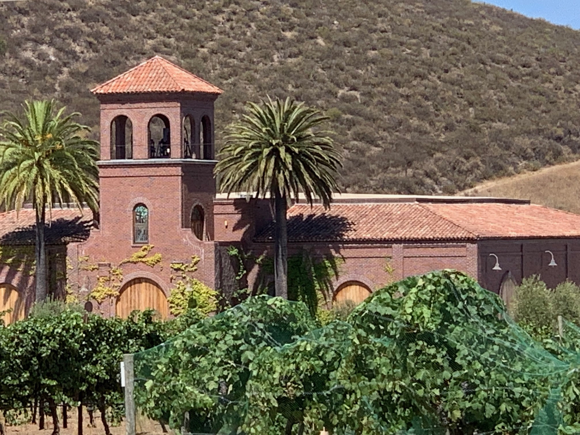 Eden Rift: East of Eden, Straddling the San Andreas Fault - Decanting ...