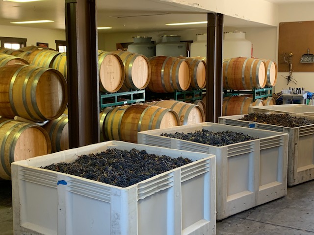 Parsonage: A Glimpse of the 2019 Vintage - Decanting Monterey - A ...